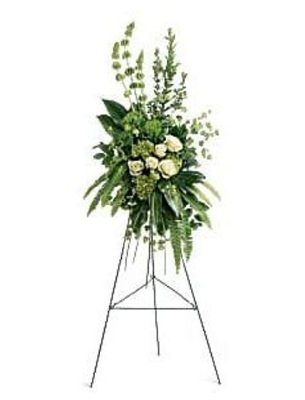 Incredible Florist | Tranquil Peace Collection